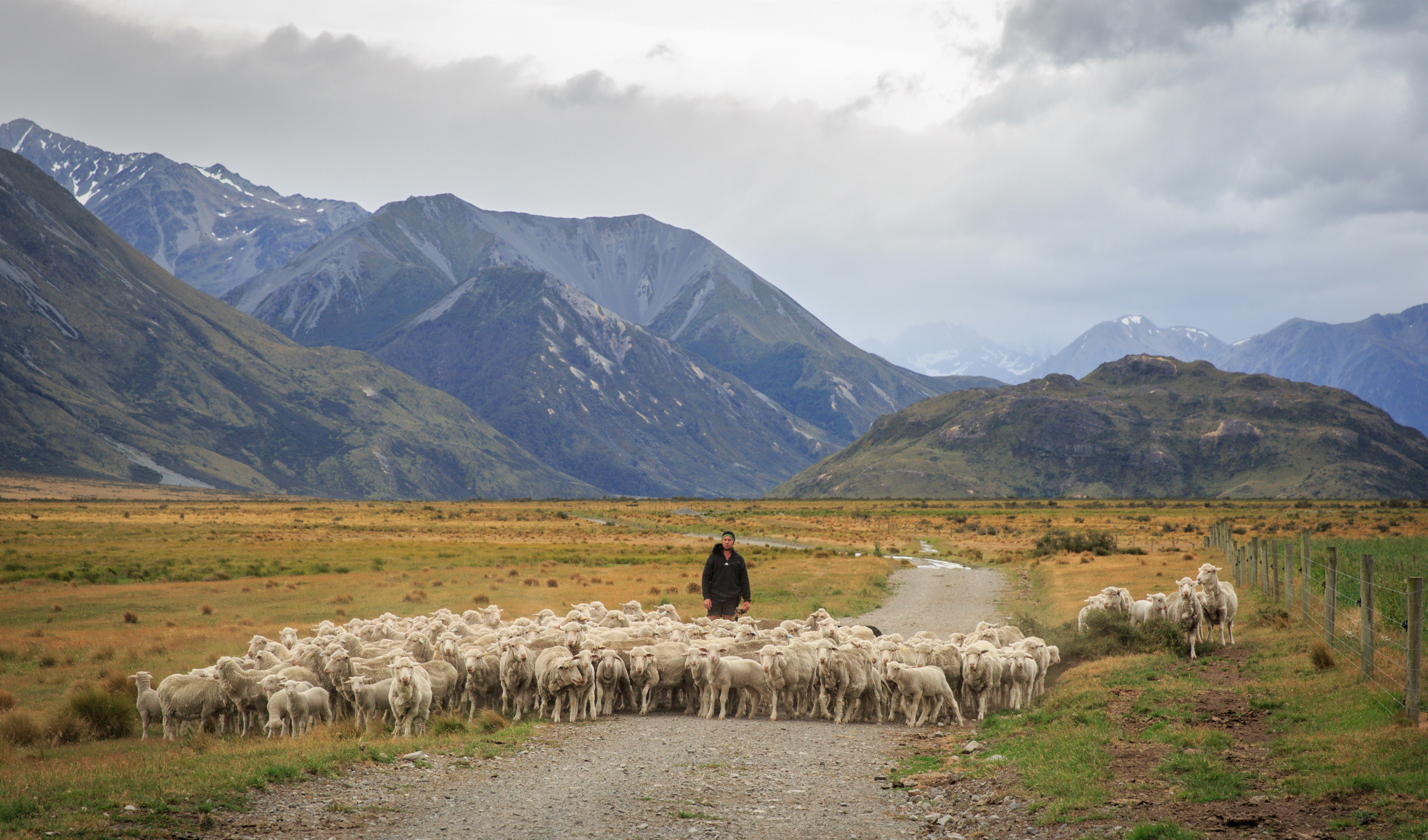 Sourcing the world’s most ethical wool & glerups NZ